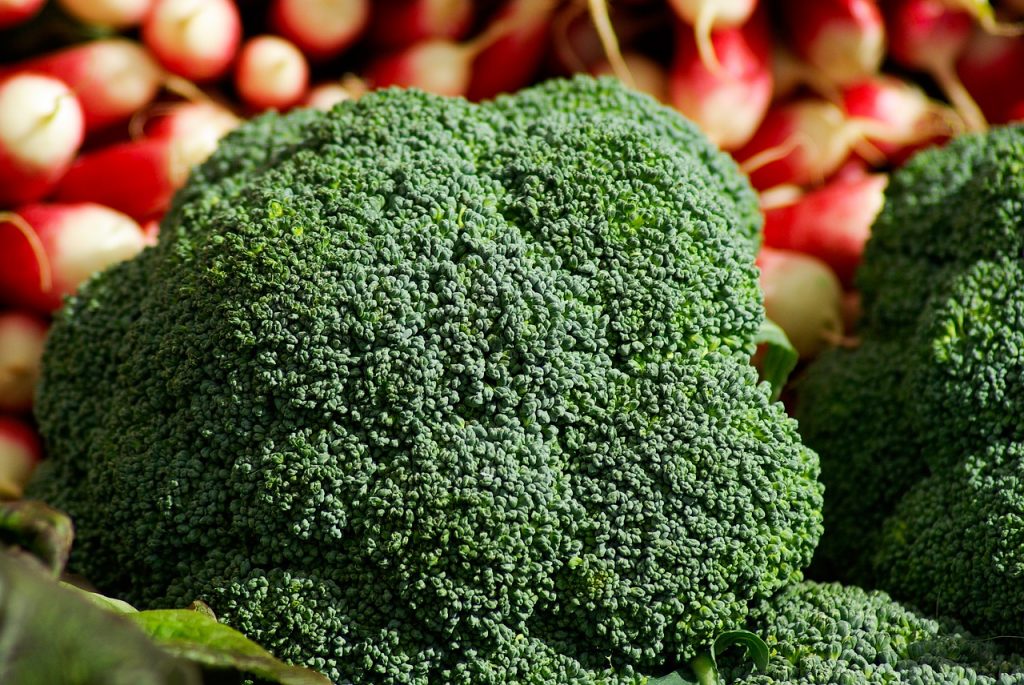 Health Benefits of Broccoli – My Health Maven