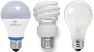 Do Your Light Bulbs Contain Mercury? – My Health Maven