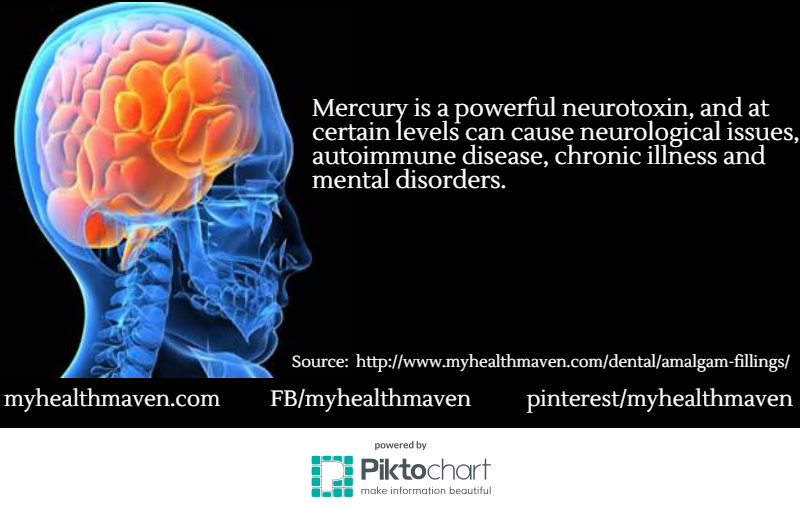 Mercury & The Brain – My Health Maven