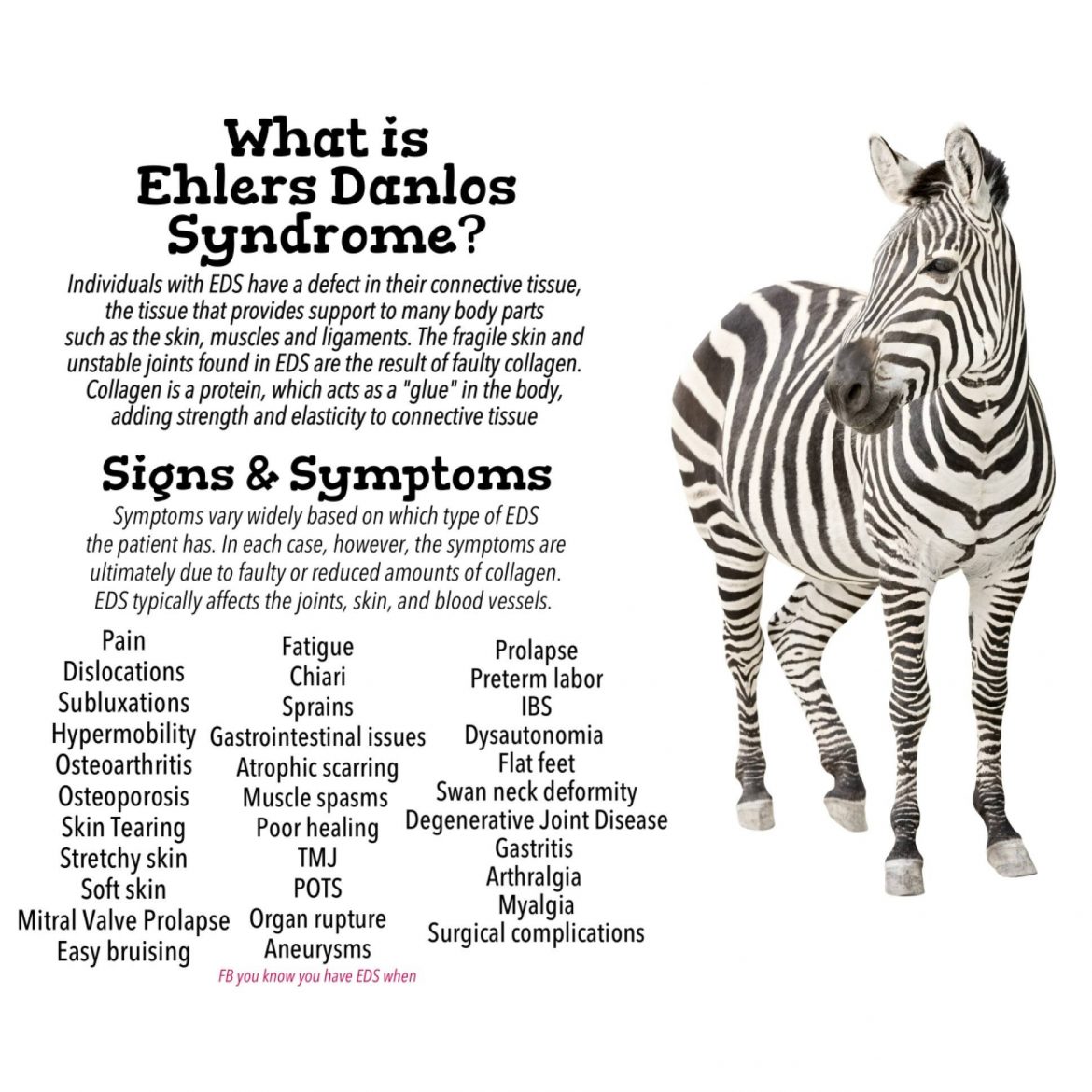 What is Ehlers-Danlos Syndrome ? – My Health Maven